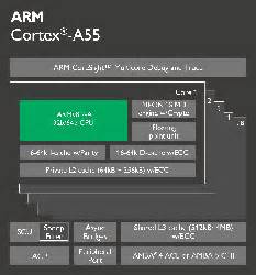 ARM Debuts Cortex A And Cortex A With AI In Mind