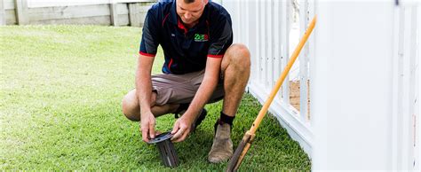Zero Termite And Pest Sunshine Coast Pest Control Termite Inspection