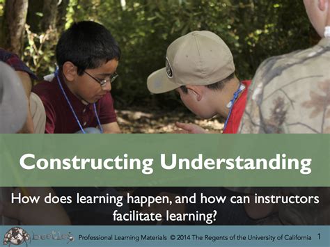 Beetles Project Constructing Understanding Beetles Project