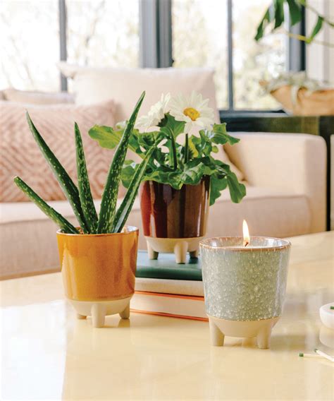 Modern Sprout Products Eco Friendly Gardening Essentials