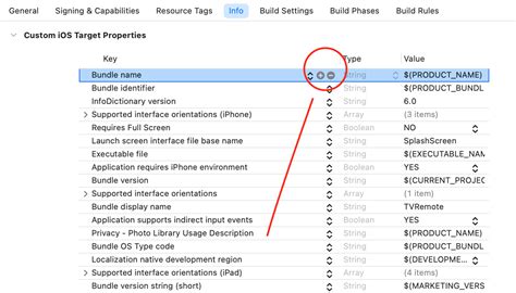 Camera Nscamerausagedescription In Ios 100 Runtime Crash Stack