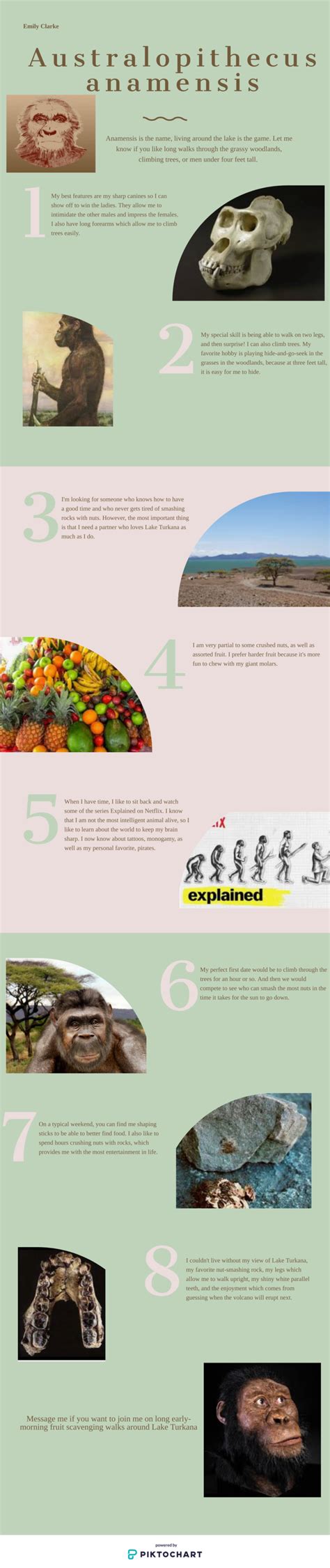 Fossil Hominin Dating Profile Cara Ocobock Ph D