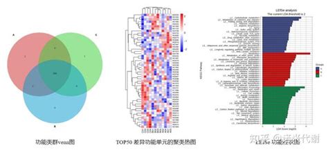 快速上手 还在纠结16s还是宏基因？史上最全的宏基因结果了解一下——下篇 知乎