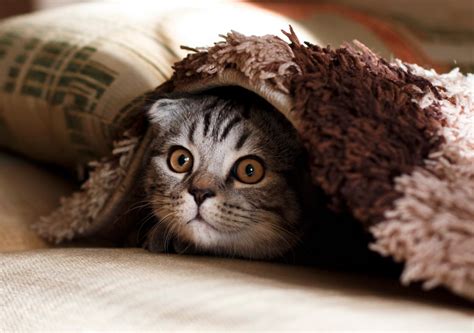 Links Archives Naked Capitalism