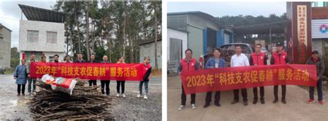 国家木薯产业技术体系桂林综合试验站开展“科技支农促春耕”服务活动 新闻动态 国家木薯产业技术体系信息平台