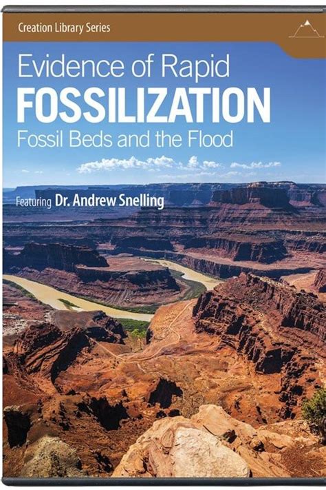 Evidence Of Rapid Fossilization 2014 Filmflow Tv
