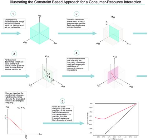 Overview Of The Mathematical Approach Used Here That Bridges The