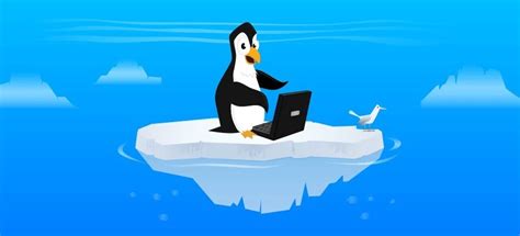 Fun Commands In Linux Lets Look At Some Of The Funniest By Pranav