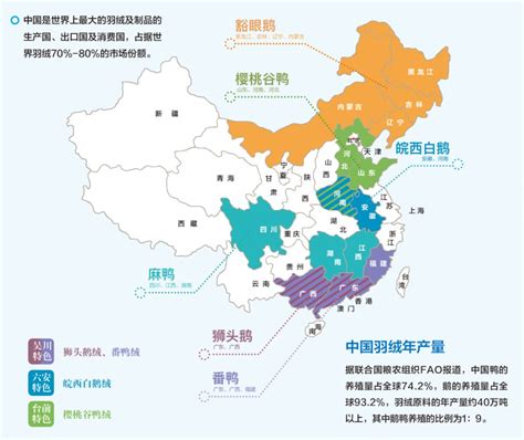 中国高品质羽绒及原产地干货收好