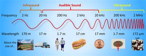 Acoustics Noaa Teacher At Sea Blog