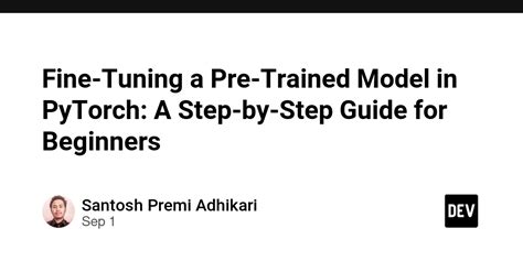 Fine Tuning A Pre Trained Model In PyTorch A Step By Step Guide For Beginners DEV Community