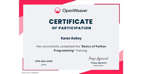 Karan Dubey On Linkedin Python Programming Certification