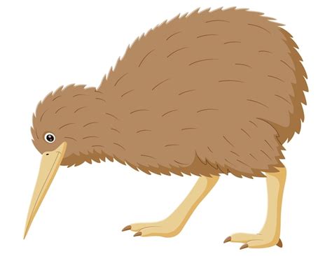Ilustración De Vector De Pájaro Kiwi Divertido De Dibujos Animados