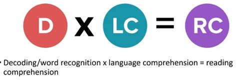 CSAD Exam Flashcards Quizlet CSAD Exam Flashcards Quizlet