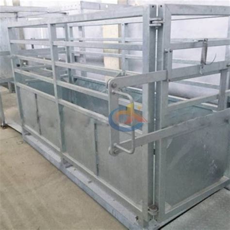 China Live Cattle Weighing System Manufacturers Suppliers Factory Customized Service