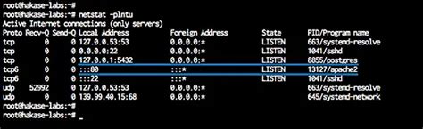 How To Install Postgresql And Phppgadmin On Ubuntu 1804 Lts