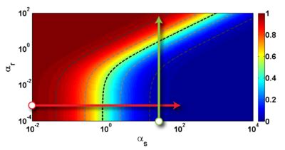 R Image Function In R Stack Overflow