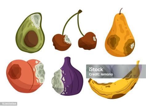 복숭아 또는 무화과를 곁들인 썩은 과일 아보카도 체리 배 바나나 악취를 풍기는 부패하고 상한 과일 갈색에 대한 스톡 벡터 아트 및 기타 이미지 Istock