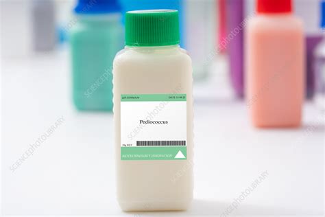 Pediococcus Bacteria Conceptual Image Stock Image F042 2792 Science Photo Library