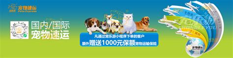 宠物运输 宠物托运 国内国际宠物托运 宠物运输400 666 8885