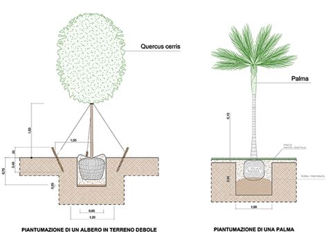 Tree Planting 01 Archweb Dwg Tree Planting 01 Archweb Dwg