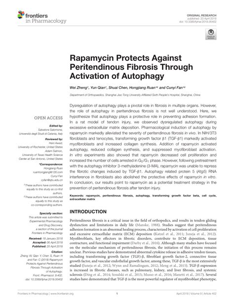 Pdf Rapamycin Protects Against Peritendinous Fibrosis Through
