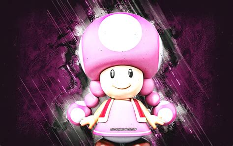Toadette Wallpapers Top Free Toadette Backgrounds Wallpaperaccess