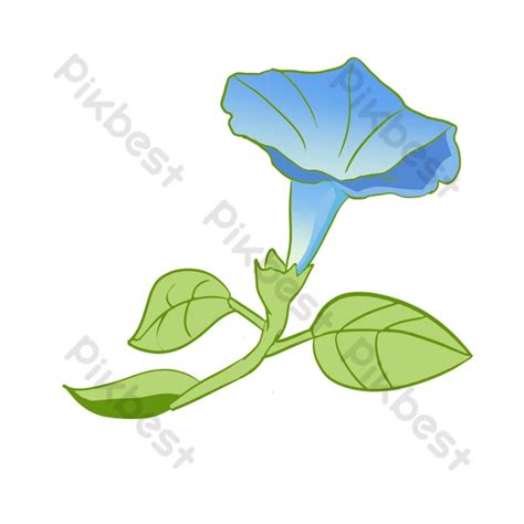 4 200 張秋天盛開的牽牛花圖案素材PNG去背圖免費下載 Pikbest