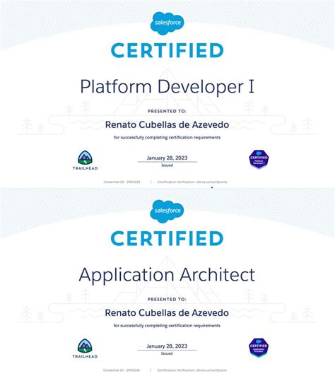 Renato Cubellas De Azevedo On Linkedin Salesforcecertified