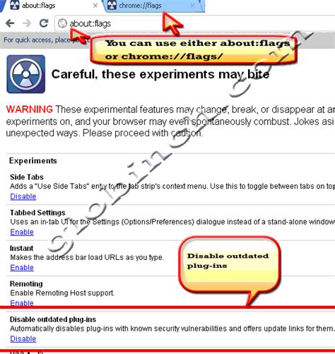 Google Chrome Flags Automatically Disable Outdated Plug Ins