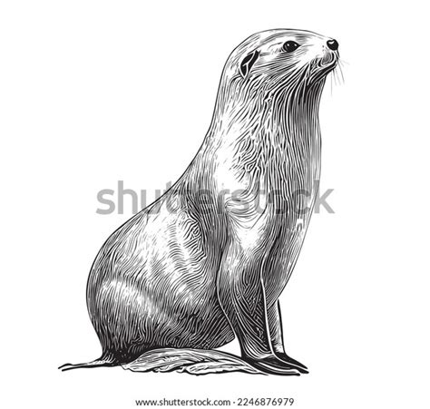 털 캐릭터 163400개가 넘는 로열티 프리 라이선스 대상 스톡 벡터 및 벡터 아트 Shutterstock