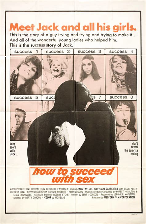 How To Succeed With Sex Original 1970 Us One Sheet Movie Poster