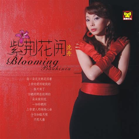 石头记 Shen Dan Song Lyrics Music Videos And Concerts