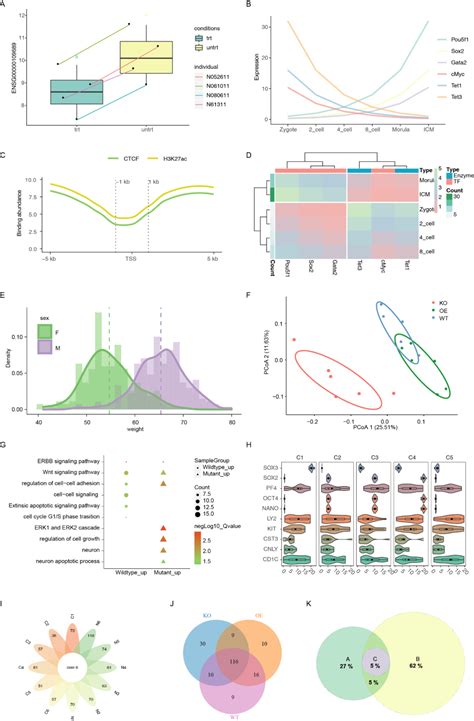 生信入门转录组和可视化学习捷径 Csdn博客