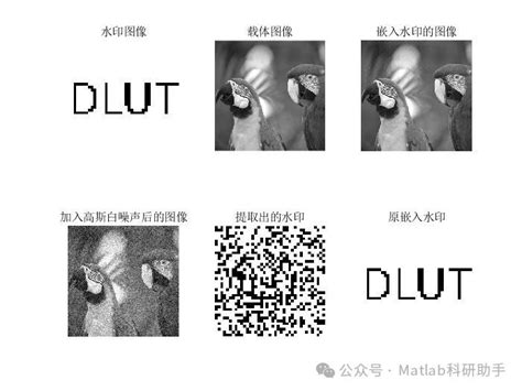 【图像隐藏】基于离散余弦变换dct变换实现灰色图像数字水印嵌入攻击提取附matlab代码 随机生成一段数据 将其隐藏到灰度图像airplane
