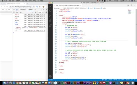 자바스크립트 기초 오늘의 마늘미션 082 객체 내장객체 정규표현식 객체1 Library