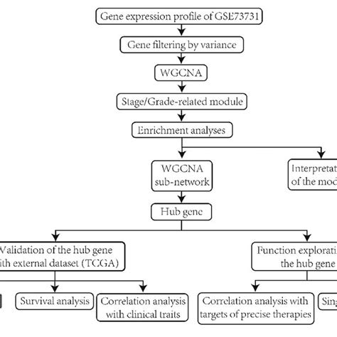 Flow Chart Of Data Collection Data Pre Processing Data Analyzing