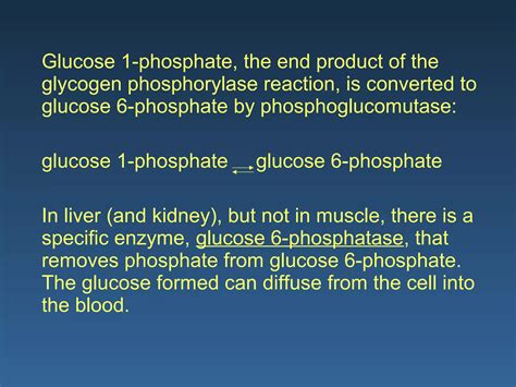 Glycogen Metabolism And Control Ppt