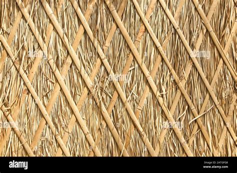 Close Up Of Thatch Roof Background Hay Or Dry Grass Background Thatched Roof Grass Hay Dry