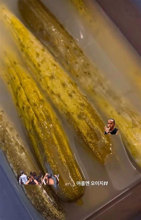 고현정 아삭한 ‘이 음식에 푹 빠졌다… 다이어트에도 최고