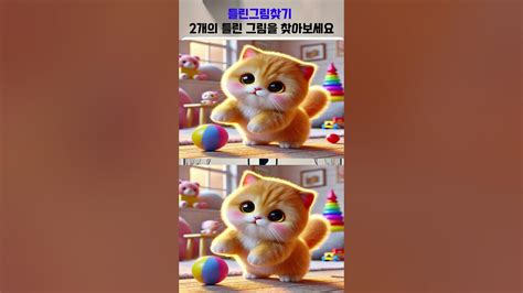 당신의 눈썰미는 몇 점 5초 안에 찾아보세요 틀린그림찾기 고양이 Youtube