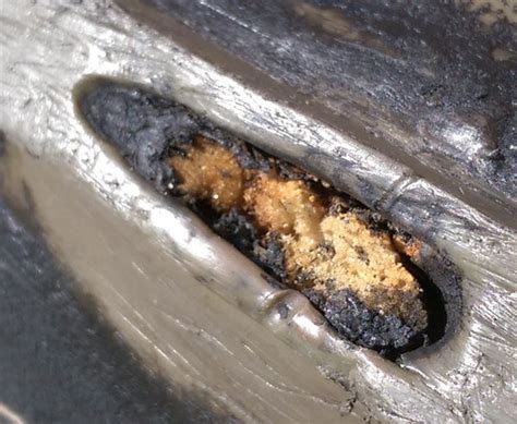 Gator Patch Marine Repair And Protection Patch By Gator Guards Gator Guards