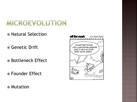 Ppt Genetic Drift Bottleneck Effect And Founder Effect