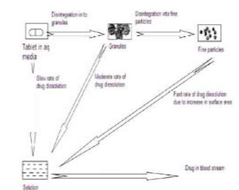 Shows Comparative Tablet Disintegration Mechanisms Adopted From Ref 24 Download Scientific