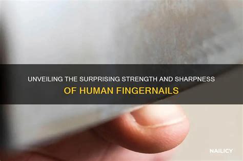 Unveiling The Surprising Strength And Sharpness Of Human Fingernails