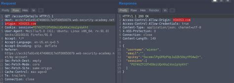 Cross Origin Resource Sharing Vulnerabilities H3x0s3