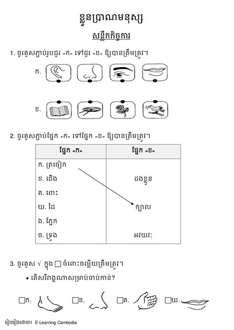 កិច្ចការវិទ្យាសាស្រ្តថ្នាក់ទី១ E Learning Cambodia Facebook
