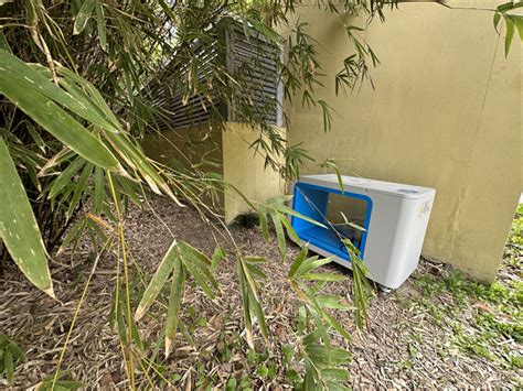 用有温度的科技让它们不再流浪闵行试点智能流浪猫屋