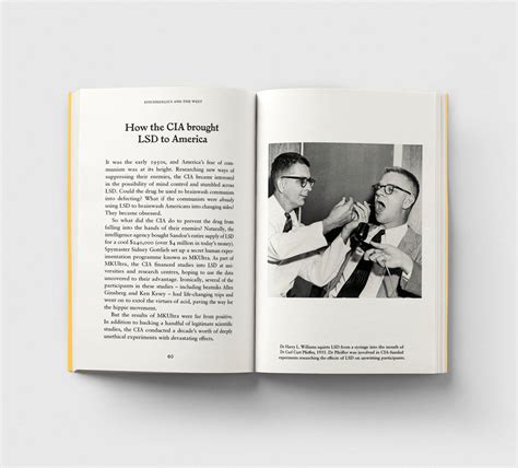 Psychedelics A Pocket Primer Hoxton Mini Press