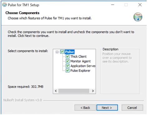 Installing The Pulse Application Server